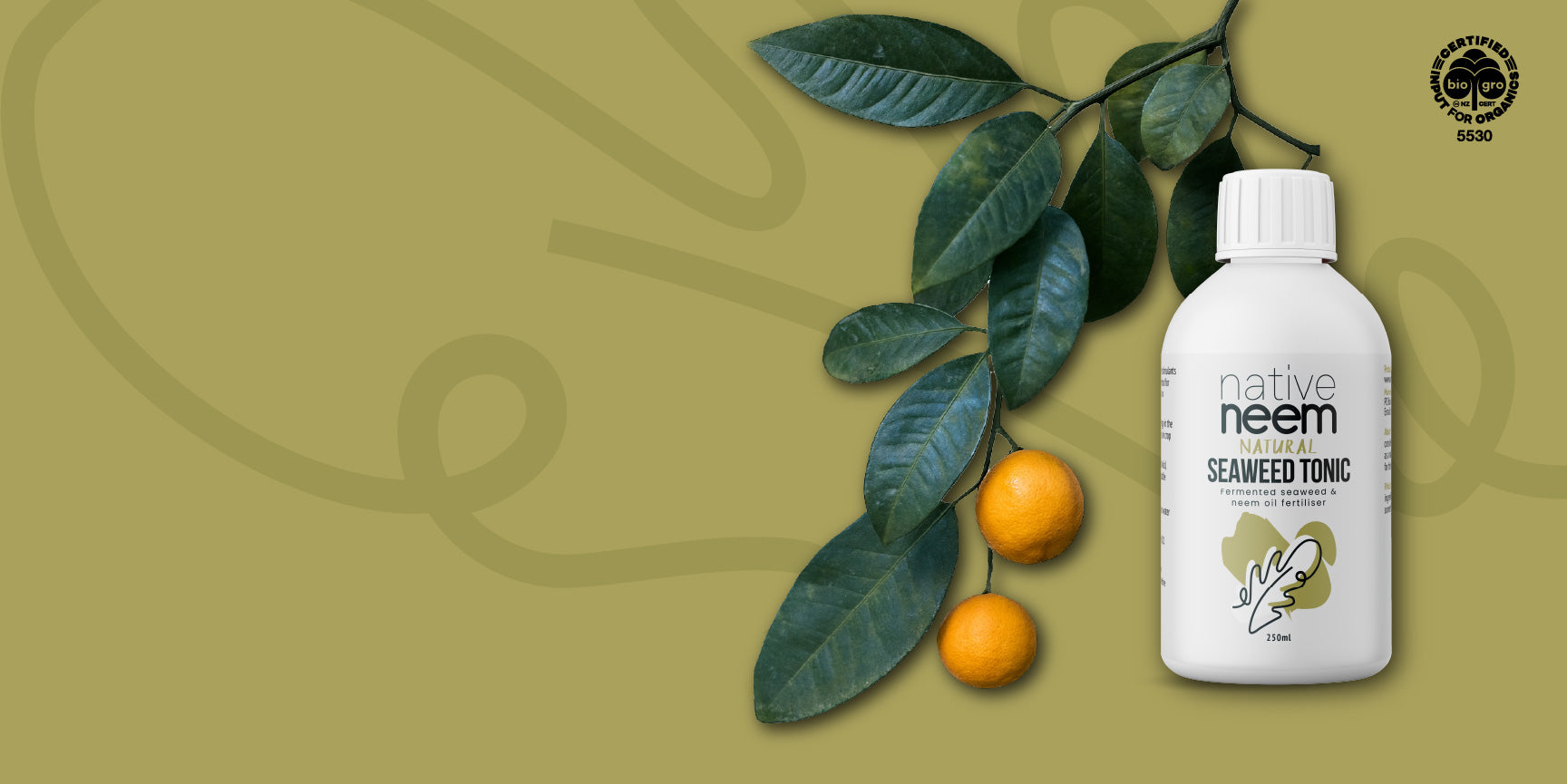 Native Neem – Nativeneem